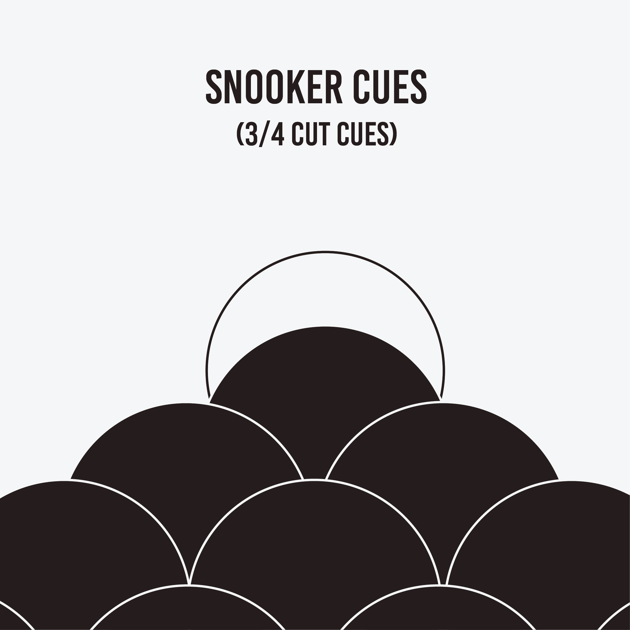 Snooker Cues – www.rileybce.com